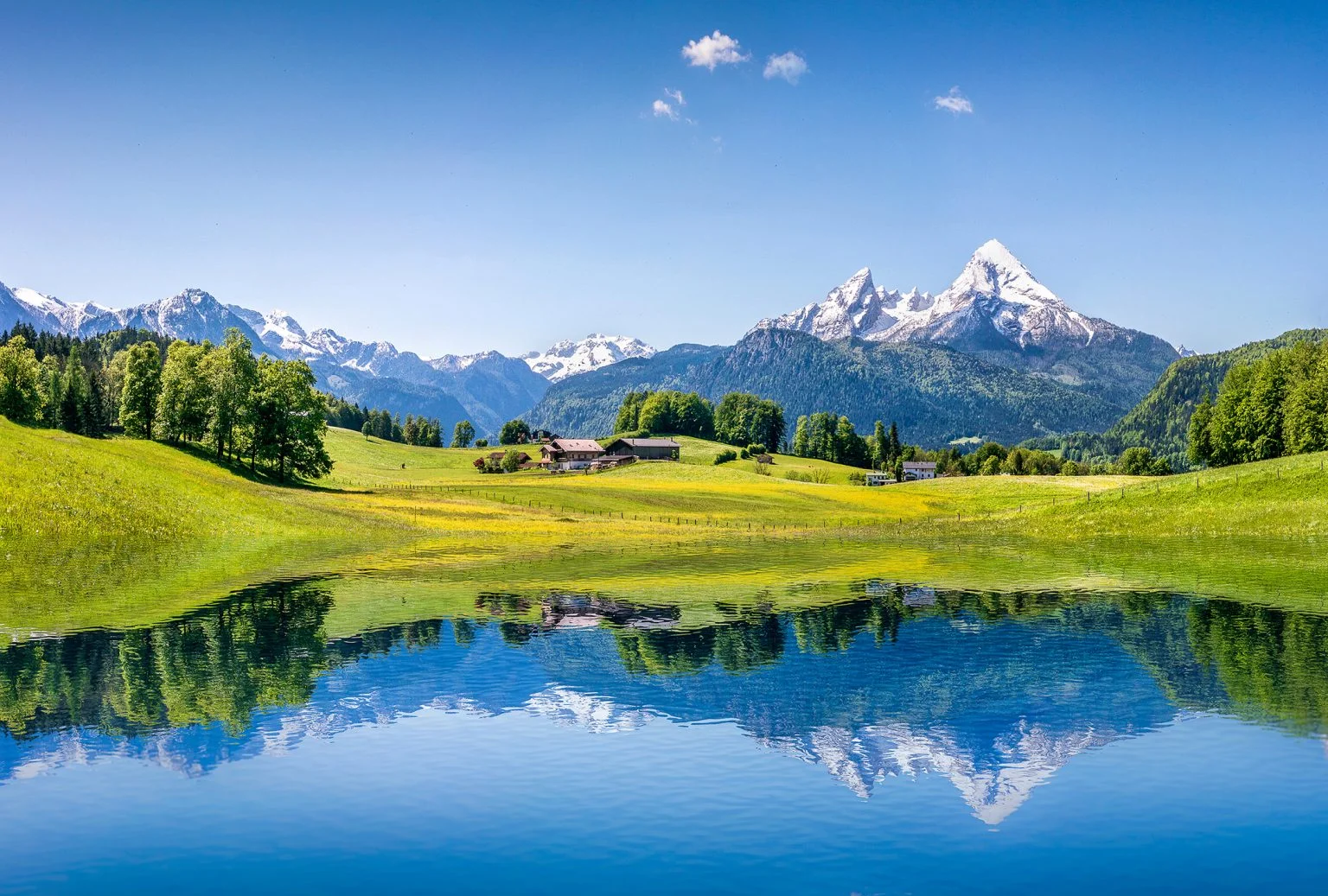 Caprin | Colagen pentru articulații | Abonament de 2 luni